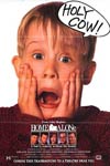 Home Alone - Movie Review and Showtimes - New York Magazine