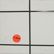 Karin Sander - Art Profile and Schedule - New York Magazine