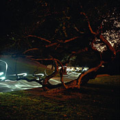 Lia Halloran - Art Profile and Schedule - New York Magazine