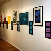 Micro Museum - Galleries - New York Magazine