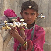 Flow - Movie Review and Showtimes - New York Magazine