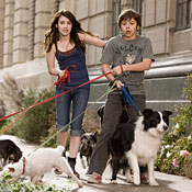 Hotel for Dogs - Movie Review and Showtimes - New York Magazine